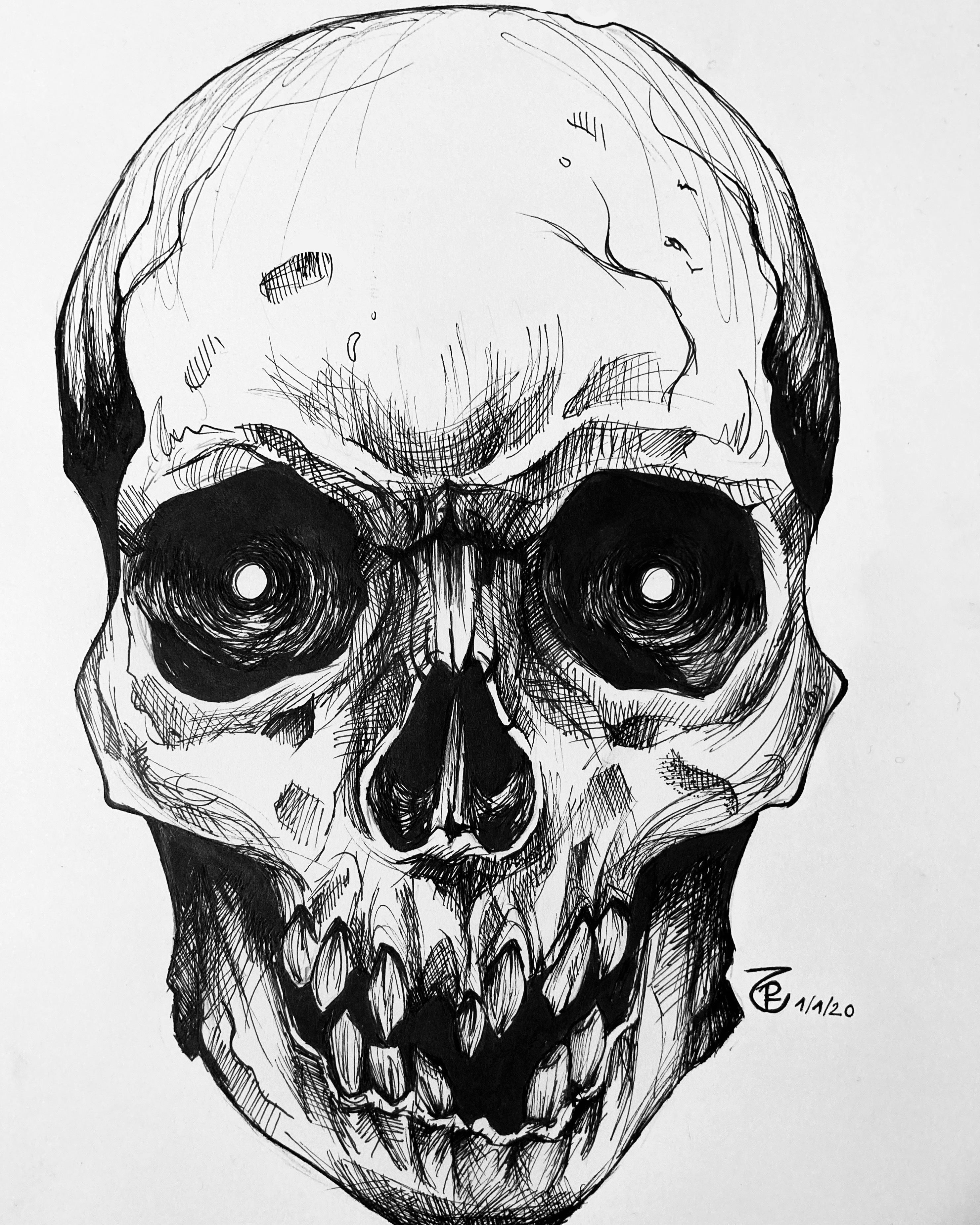 Ink sketch: Skull – Rexy's Art